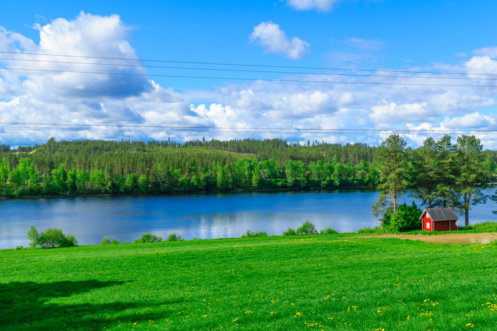 Lagstiftning: Ändringar i ellagen och miljöbalken för nätkoncession för ...